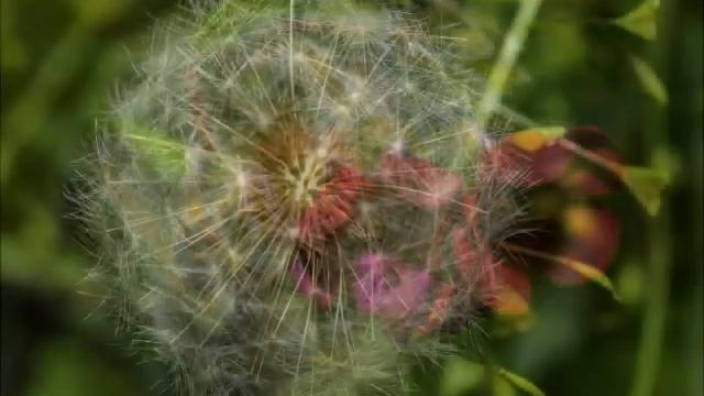 Поздравление с Днем Рождения