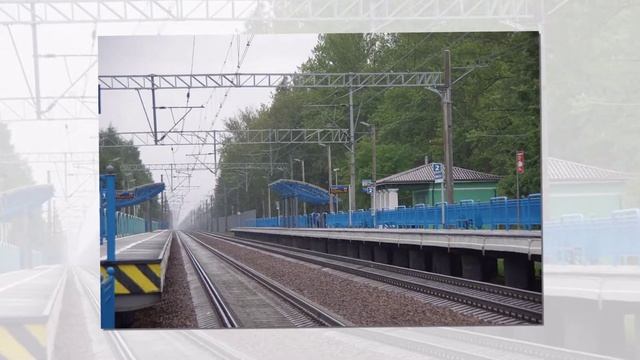 Авилов Алексей - Комарово