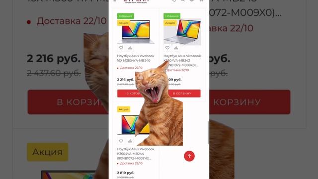 Когда увидел такие низкие цены на ноутбуки Asus Vivobook