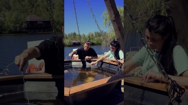 Кухни «Мария»: краш-тест Marya Garden (горячая вода +50 °С). #shorts #кухнимария