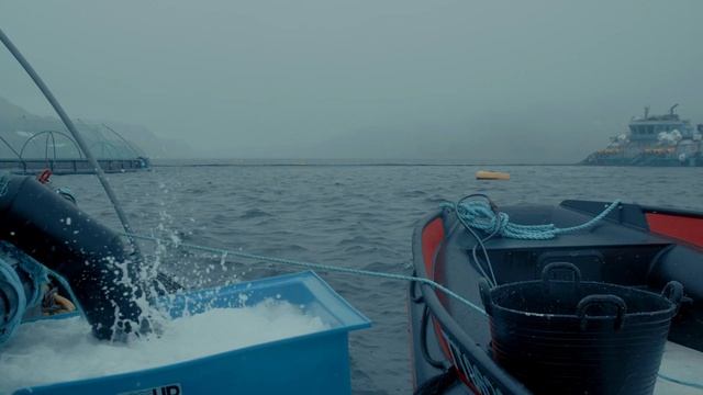 INARCTICA – Свежая рыба с Русского севера