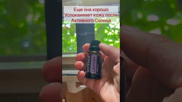 4 эфирных масла - которые всегда со мной в любой поездке