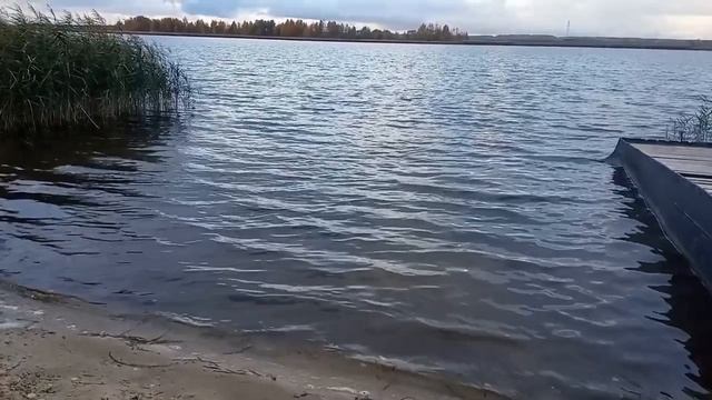 Нас осень пригласила в лес