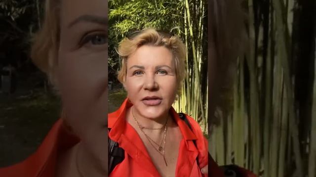 Как я себе выбираю наставника, что важно для меня