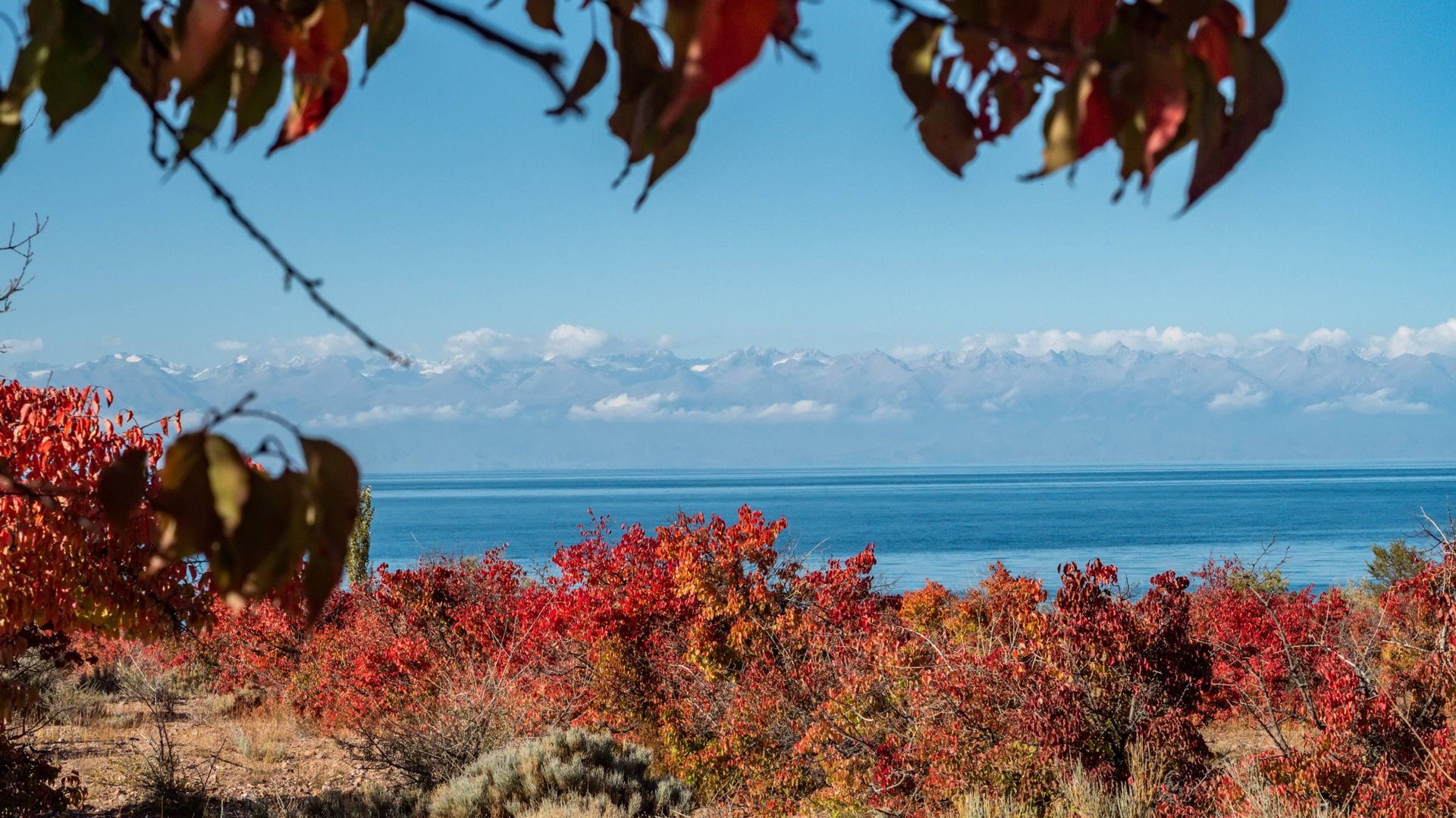 Каникулы в Кыргызстане