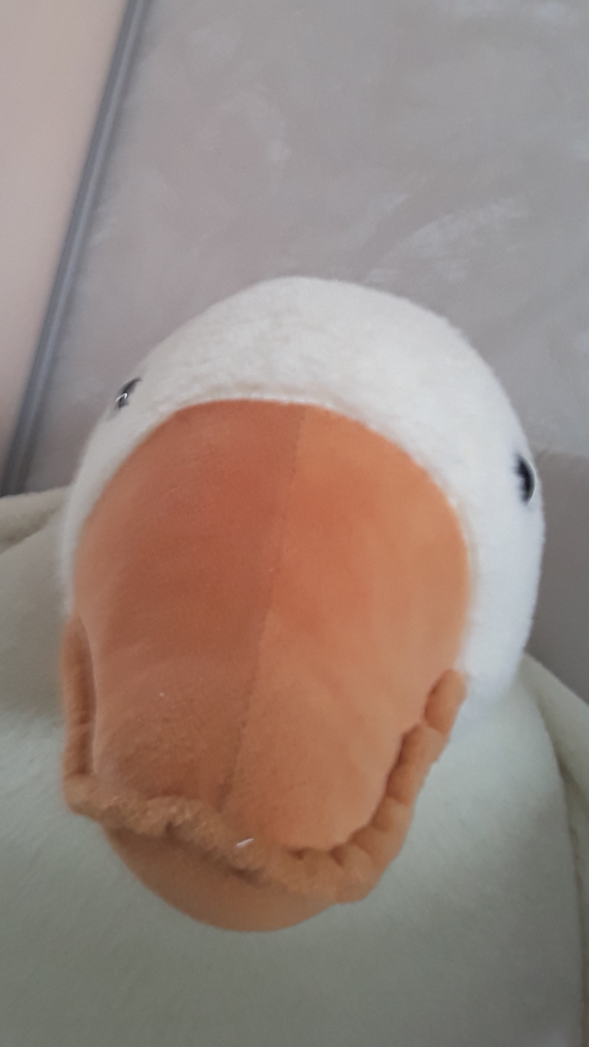 всем привет