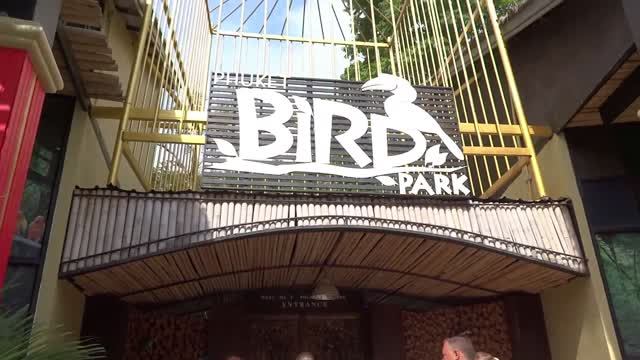 Phuket Bird Park