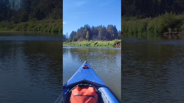 Сплав по реке Жиздра #сплав #водники #байдарка #природа #жиздра #река #природа #путешествие #туризм