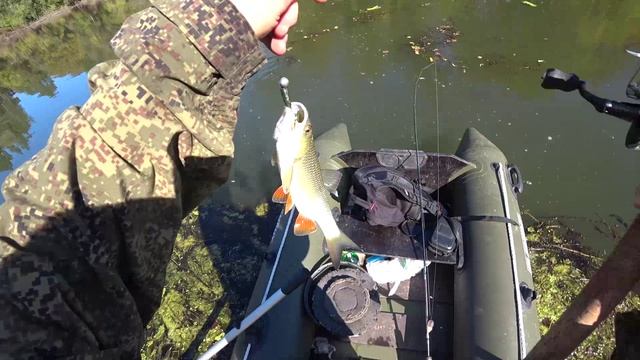 Первый раз поймал Голавля на спиннинг. Вот это я был удивлен. Рыбалка с лодки 2024.