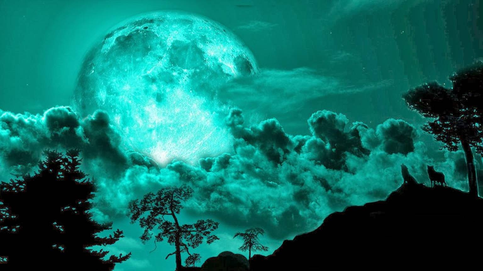 Александр Щербина:"НОЧЬ ДЕМИУРГА". Бэк-вокал — Елена Артёменко. Запись с концерта. Лето, 1998 год.