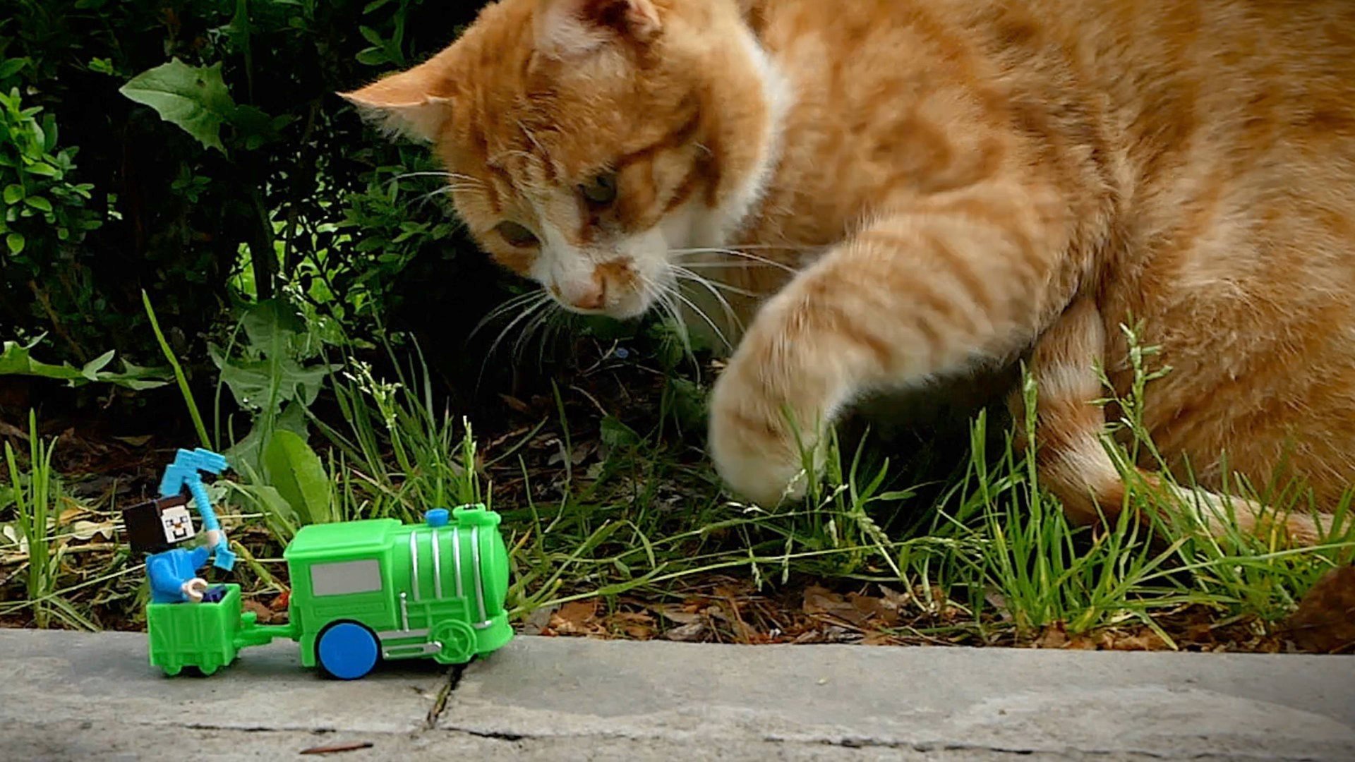 Котик против паровозика /  Видео про поезда игрушки и котиков