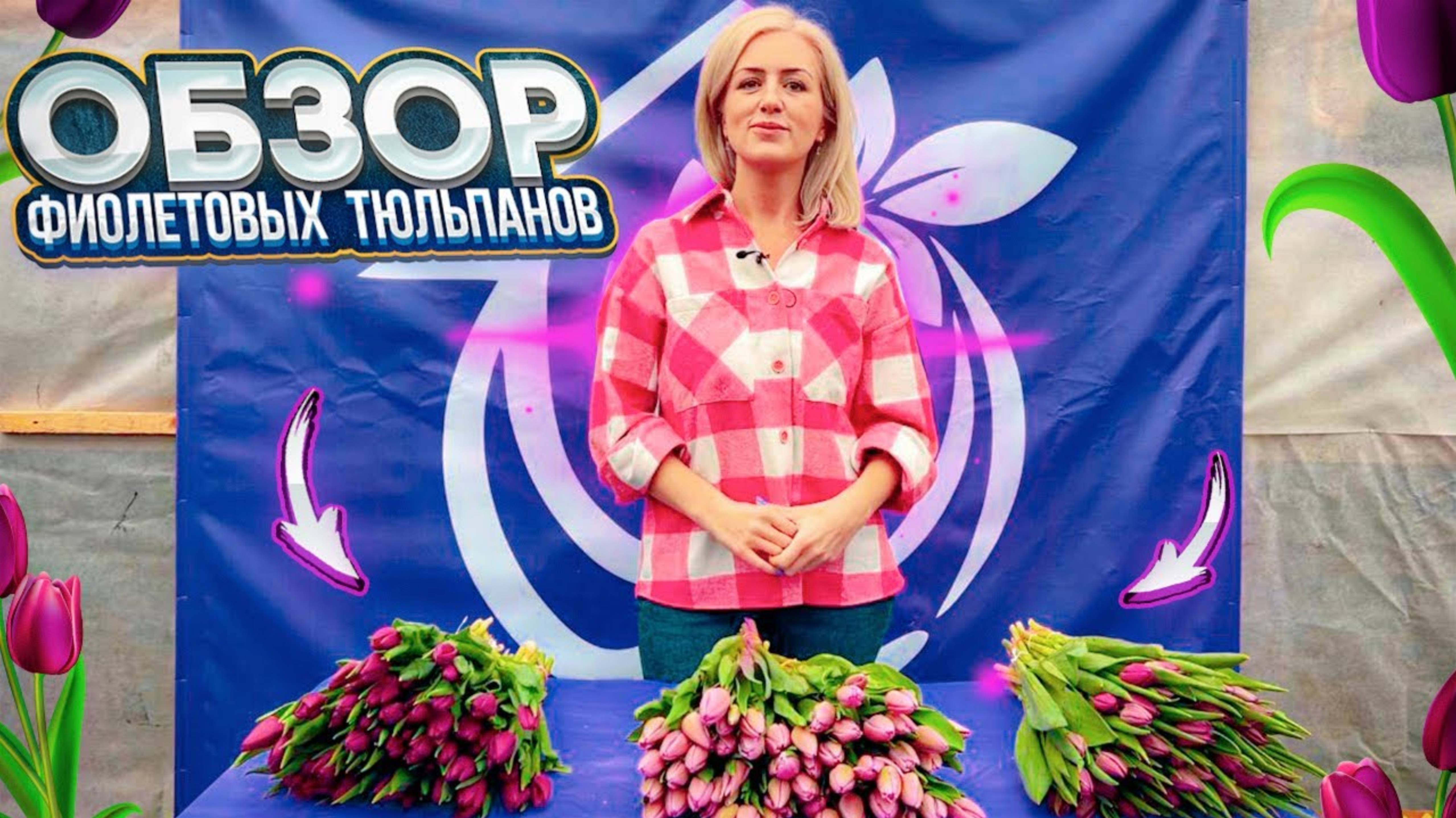 Обзор сортов фиолетовых тюльпанов