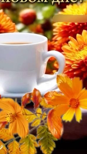 #прямаятрансляция #ежедневныйвлог #вмоменте #shorts #отпуск #rutube