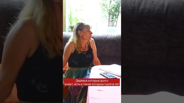 «Древняя сила растений» - авторский курс Татьяны Лобановой