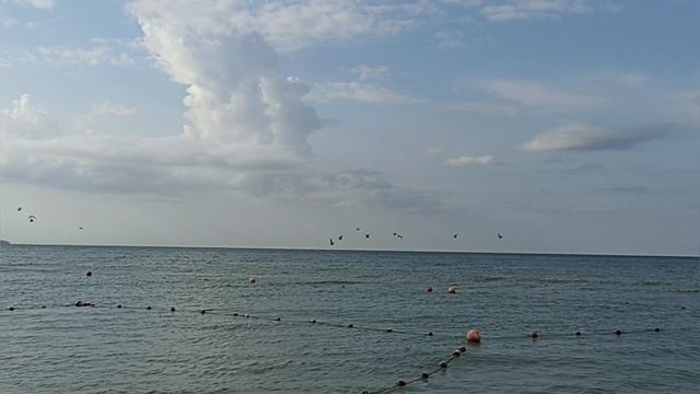 Последний день отдыха на Черном море – похолодало,  дельфины охотятся, отправляемся домой