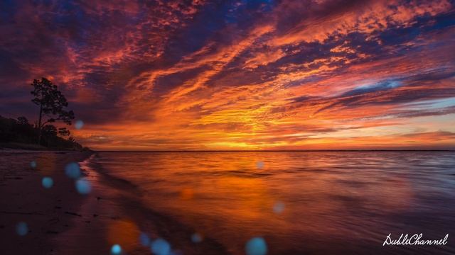 CHILLOUT || Music for Work — Asian Calming Mix