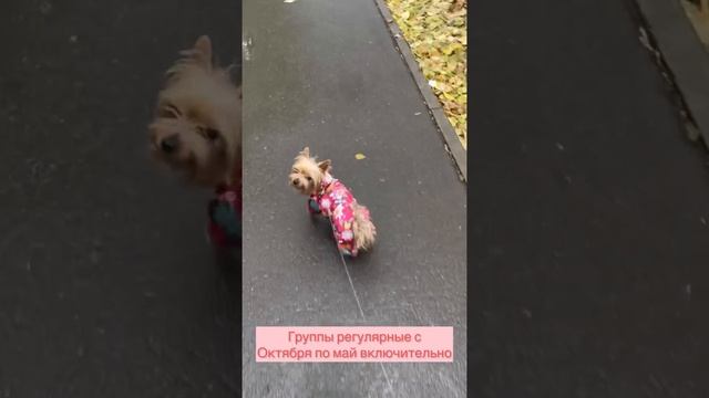 Оздоровительная гимнастика 65+ для пенсионеров