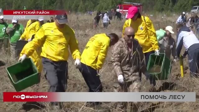 ООО «СЕРВИСТА» выполнила работы по компенсационному лесовосстановлению для АО «ВЧНГ»