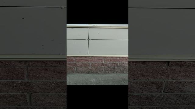 17.08.2024 Булат после тренировки