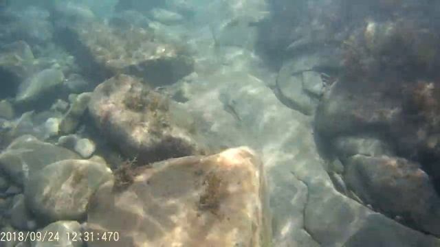 АНАПА ВЫСОКИЙ БЕРЕГ БАРАБУЛЬКА И БЫЧКИ