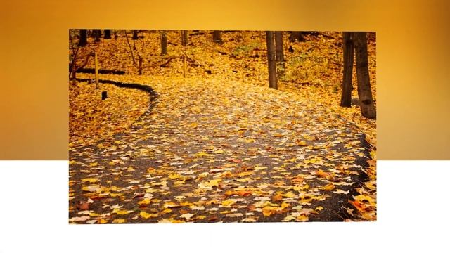 #Авилов Алексей - Листья жёлтые