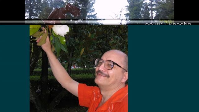 Красная Поляна - Сочи, июль 2015