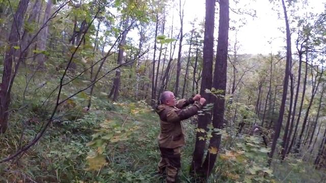 Разметка трассы ( Широкий дол) 2017