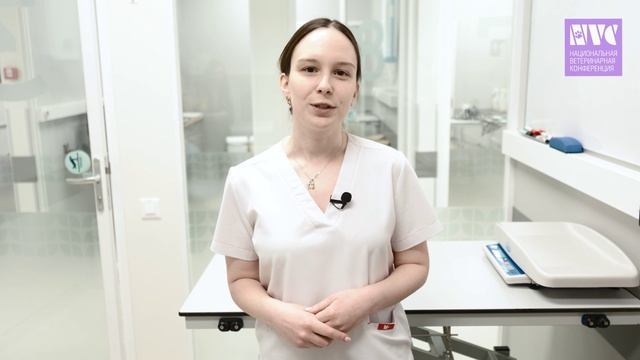 Дарья Грачева о секции «Фармакология». NVC 2024