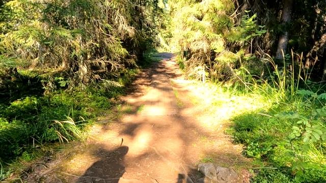 Из Москвы в Карелию на машине.  Часть 7 .  остров Валаам
