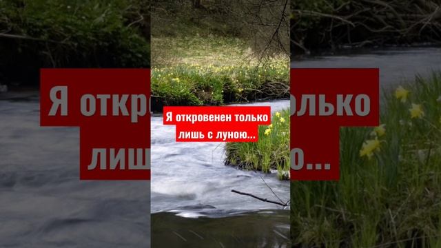 Я откровенен только лишь с луною... Сергей Белов