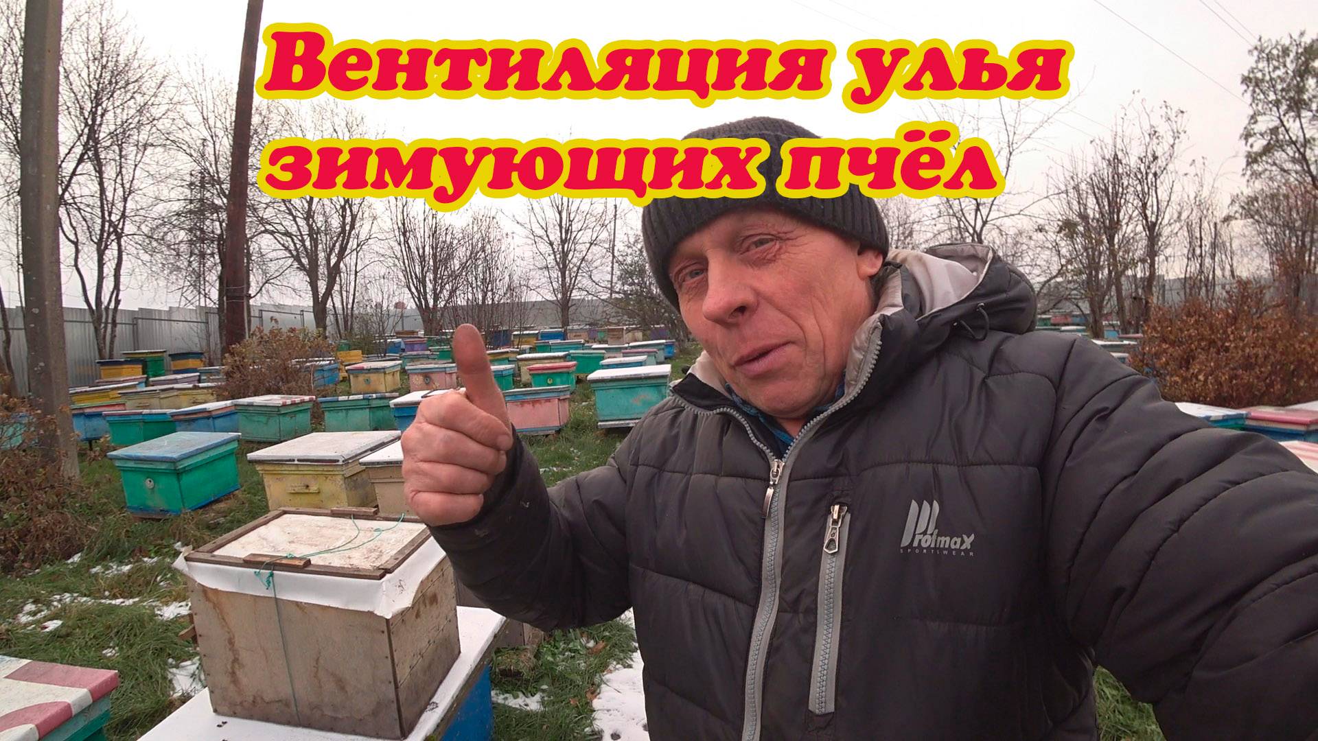 КАК МЫ ОРГАНИЗУЕМ ВЕНТИЛЯЦИЮ УЛЬЯ ВО ВРЕМЯ ЗИМОВКИ В НЁМ ПЧЁЛ, ОТВЕТЫ НА КОММЕНТАРИИ.