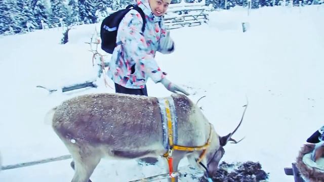 Лагерь "Шоколад" в Финляндии