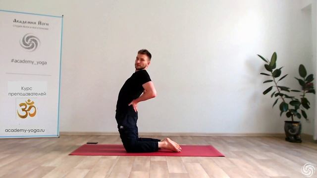 Общая практика 2