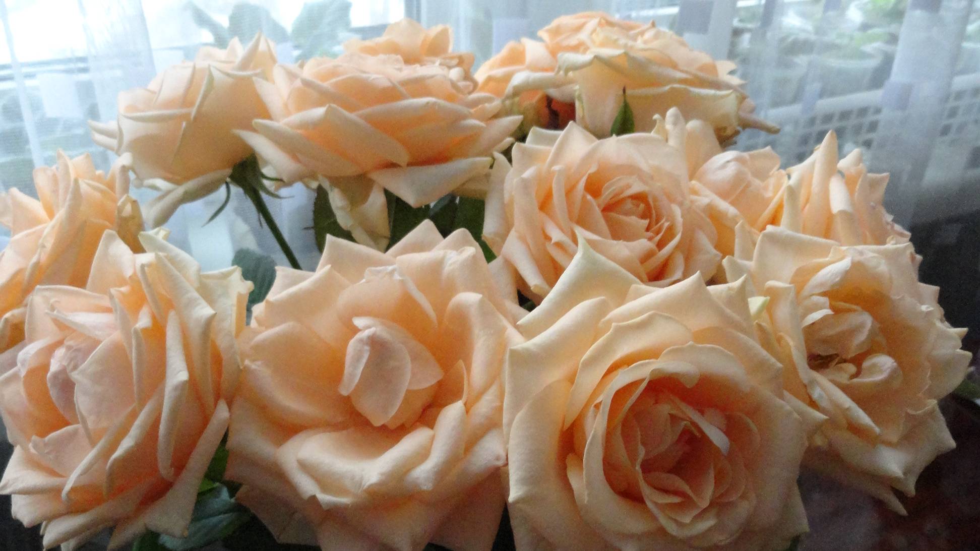 Розы в букете