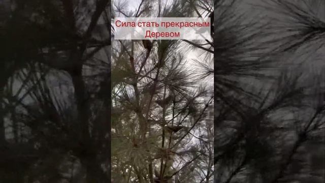 Для чего трансформационные игры?