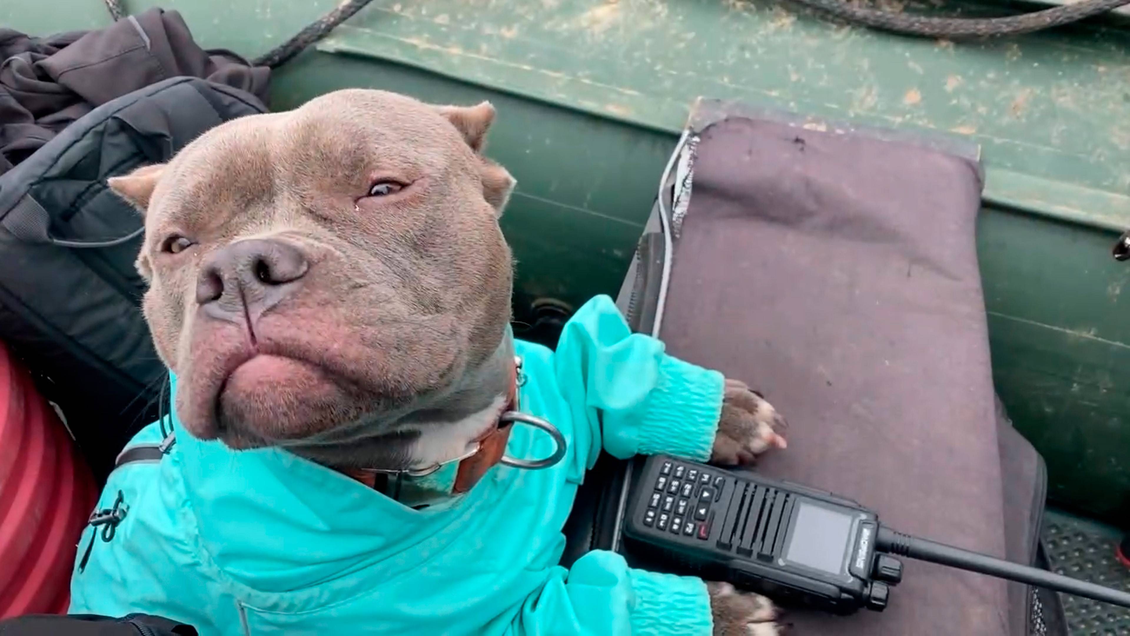 Краткий обзор закрытие сезона рыбалки.Полное видео ┈➤https://rutube.ru/video/2dae4be6cda5fcf0514fcf