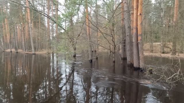 Сплав по реке Нерская. Половодье, апрель 2024г.