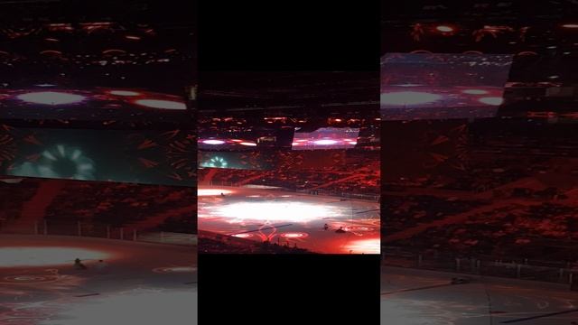 Самая большая в Европе ледовая арена - СКА Арена.