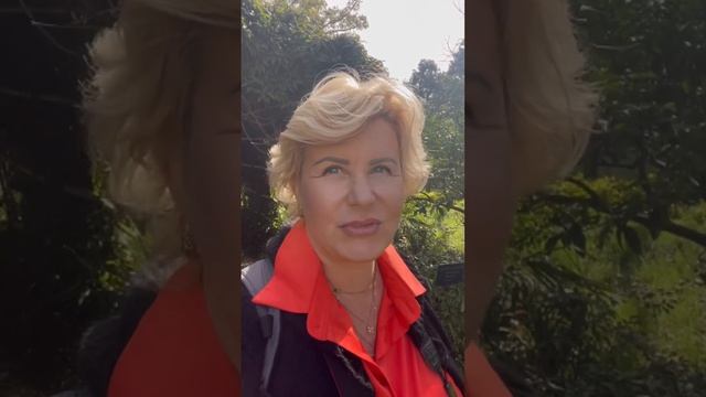 Часть 2, чем вам может быть полезен игропрактик