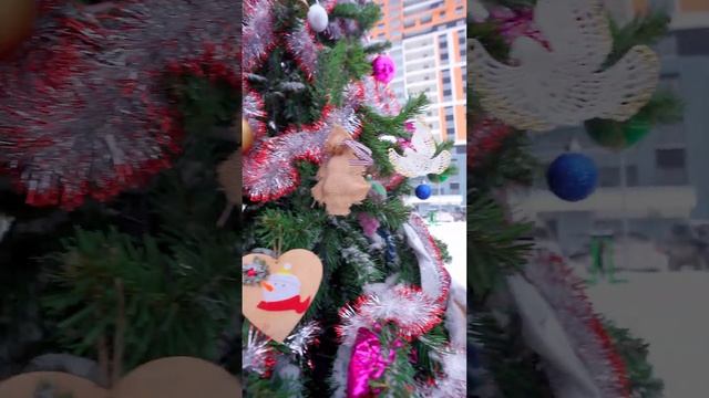 ЖК Московский квартал. Видео блог с Мишкой.