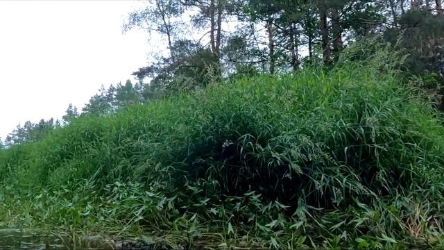 Сплав по реке Нерская