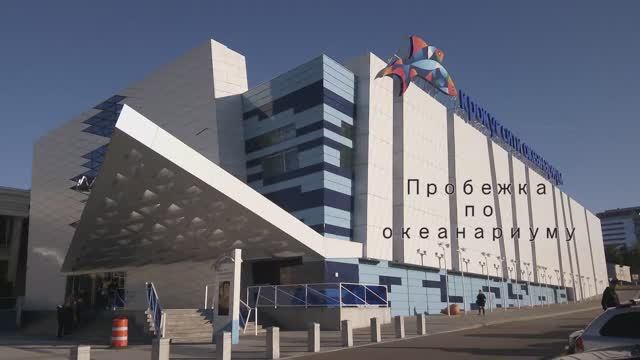 Океанариум Крокус Сити 8