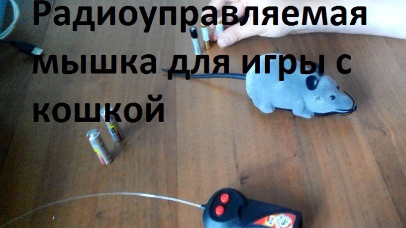 Радиоуправляемая мышка для игры с кошкой из Китая_ обзор и испытания