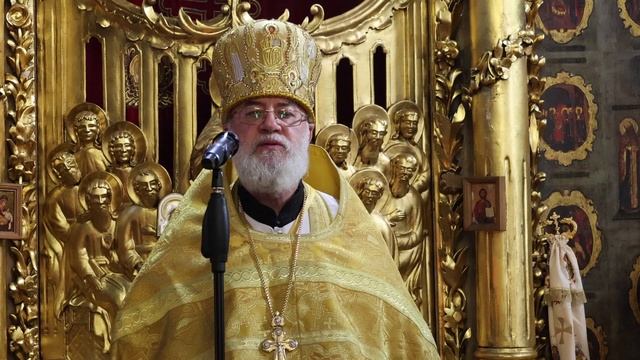 Проповедь протоиерея Алексея Кошкина в Неделю 15-ю по Пятидесятнице  2024