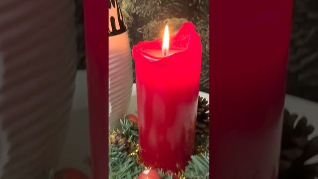 Елка которая больше 7 лет радует нас каждую зиму