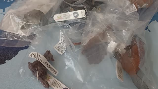 Фигурки животных. Коллекция для домашнего зоопарка. №7