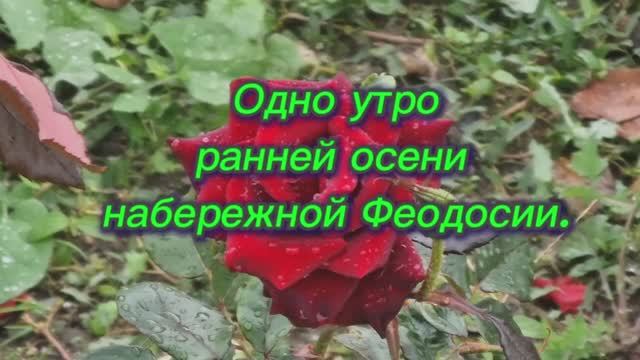 ОдноУтроФеодосии.mp4