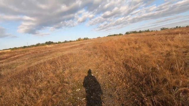 Охота на перепела. Продолжение теста патронов с разной навеской. Hunting.(День второй).