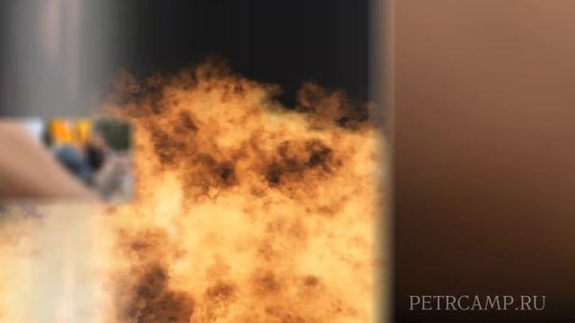 Осенние каникулы с лагерем "Петрушка"