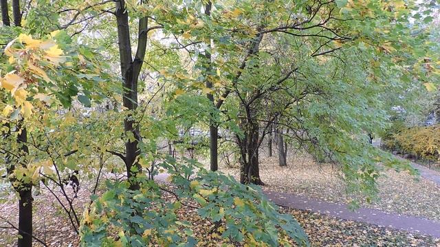 2024-10 вид из окна